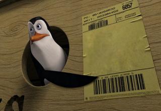 The Most Popular Meme Templates of 2019 (52 Images) - Ftw Gallery ...