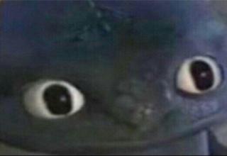 The Most Popular Meme Templates of 2019 (52 Images) - Ftw Gallery ...