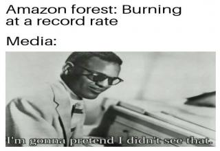 21 Memes About The Amazon Rainforest Burning Down - Feels Gallery ...