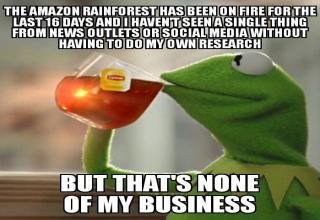 21 Memes About The Amazon Rainforest Burning Down - Feels Gallery ...