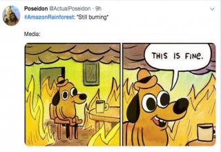 21 Memes About The Amazon Rainforest Burning Down - Feels Gallery ...