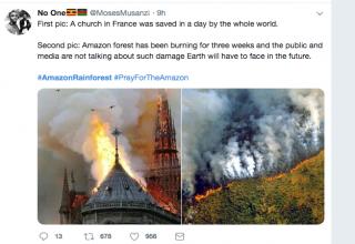 21 Memes About The Amazon Rainforest Burning Down - Feels Gallery ...