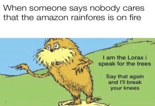 21 Memes About The Amazon Rainforest Burning Down - Feels Gallery ...