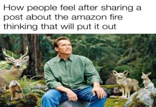 21 Memes About The Amazon Rainforest Burning Down - Feels Gallery ...