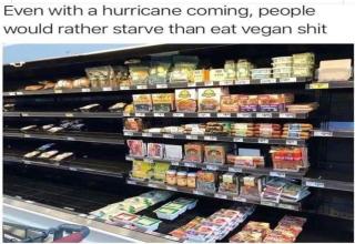 47 Florida Memes For Those Who Don't Fear Hurricane Dorian - Wtf ...