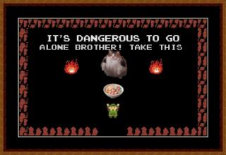 Brøther, the Lööps Cat Has Passed Away and Here are All Her Best Memes ...