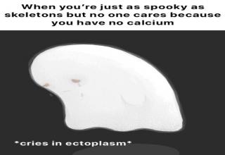 31 Spooktober Memes to Celebrate the Best Month of the Year | eBaum's World