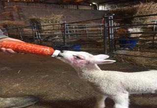 Cursed Images of Beans That Are Absolutely Awful (40 Images) - Wtf ...