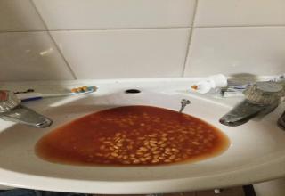 Cursed Images of Beans That Are Absolutely Awful (40 Images) - Wtf Gallery | eBaum's World