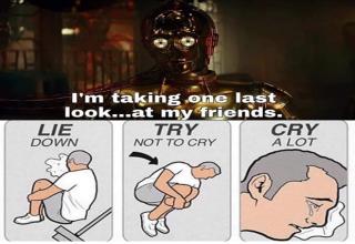 'Star Wars: The Rise of Skywalker Memes' That Are Making Us Cry (28 ...