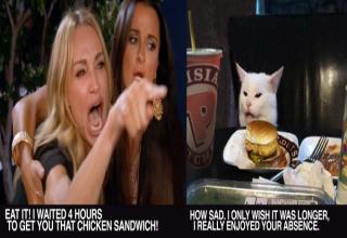 The Absolute Best 'Woman Yelling at Cat' Memes (Seriously Only the Good ...