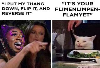 The Absolute Best 'Woman Yelling at Cat' Memes (Seriously Only the Good ...