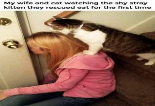 53 Wholesome Pics to Start the Weekend on a Positive Note - Feels ...