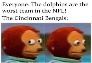 NFL Week 10 Memes That Are Better Than the Bengals - Funny Gallery ...