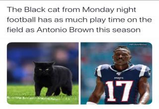 NFL Week 10 Memes That Are Better Than the Bengals - Funny Gallery ...