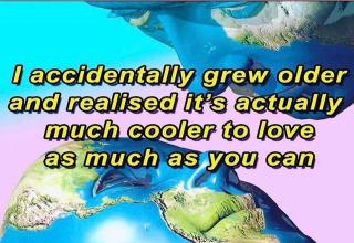 The 100 Best Wholesome Memes Warming Our Cold Souls This Week - Funny ...