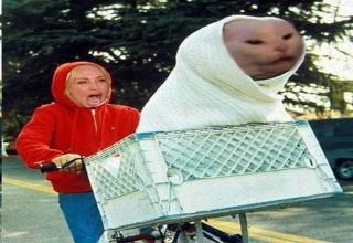 66 'Woman Yelling at a Cat' Memes That Still Slap in 2021 - Funny ...