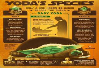 Baby Yoda Memes Just Might Be the Best of the Year (66 Images) - Funny ...