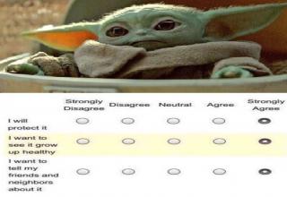 Baby Yoda Memes Just Might Be the Best of the Year (66 Images) - Funny ...