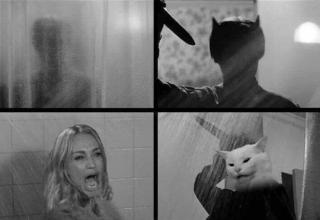 38 Quick Pics with No Relevance Intended - Funny Gallery | eBaum's World