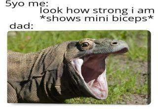 The 50 Best Feel-Good Memes That Topped the Charts on Reddit This Week ...