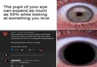 The 50 Best Feel-Good Memes That Topped the Charts on Reddit This Week ...