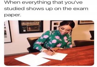 The 50 Best Feel-Good Memes From Reddit This Week That Are Lifting Our ...