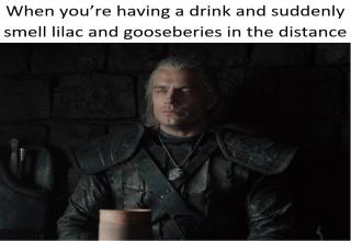 68 'The Witcher' Memes to Get Hyped For Season 2 | eBaum's World