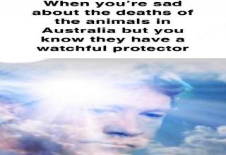 53 Best Wholesome & Clean Memes to Start 2020 Off Right - Feels Gallery ...