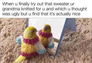 53 Best Wholesome & Clean Memes to Start 2020 Off Right - Feels Gallery ...