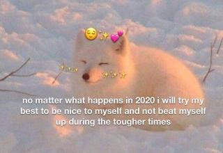 53 Best Wholesome & Clean Memes to Start 2020 Off Right - Feels Gallery ...