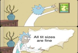 Rick Ripping the Wall Memes Took Over Reddit Today - Facepalm Gallery ...