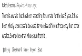 23 Disturbing Facts That are Not So Fun - Wtf Gallery | eBaum's World