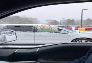 46 Random Pics that are Deserving of Your Clicks - Funny Gallery ...