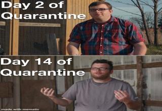 33 Accurate Memes About Our New Quarantined Reality - Funny Gallery ...