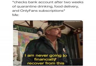 Joe Exotic 'I'm Never Going to Financially Recover From This' Memes ...