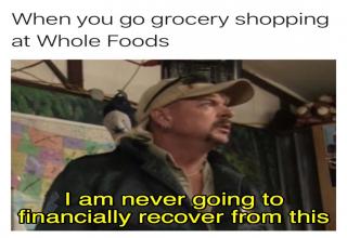 Joe Exotic 'I'm Never Going to Financially Recover From This' Memes ...