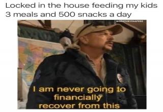 Joe Exotic 'I'm Never Going to Financially Recover From This' Memes ...