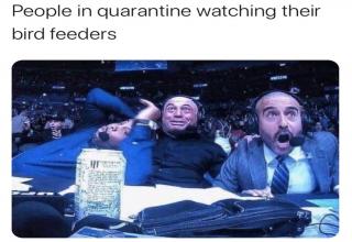 The Funniest Memes Keeping Us Sane This Week (50 Memes) - Funny Gallery ...