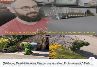 The Funniest Memes Keeping Us Sane This Week (50 Memes) - Funny Gallery ...