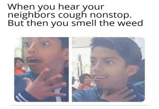 69 Weed Memes That Rip Harder Than Your Bong - Funny Gallery | eBaum's ...