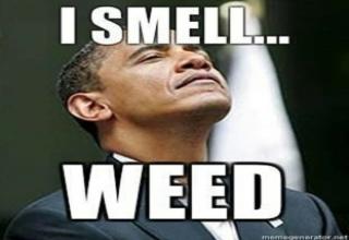 69 Weed Memes That Rip Harder Than Your Bong - Funny Gallery | eBaum's ...