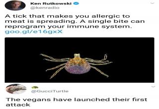 51 Fun Filled Pics and Memes to Help You Survive the Week - Funny ...