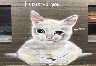 83 Graffiti Memes to Take You Way Back in Time - Funny Gallery | eBaum ...