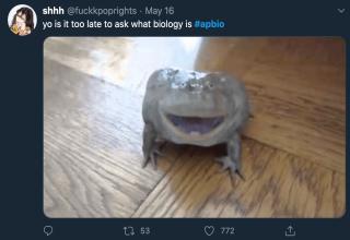 22 'AP Bio Memes' Killing High School Student's College Dreams in 2020 ...