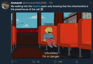 22 'AP Bio Memes' Killing High School Student's College Dreams in 2020 ...