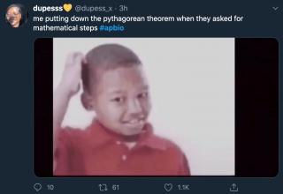 22 'AP Bio Memes' Killing High School Student's College Dreams in 2020 ...