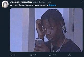 22 'AP Bio Memes' Killing High School Student's College Dreams in 2020 ...