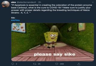 22 'AP Bio Memes' Killing High School Student's College Dreams in 2020 ...