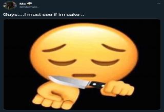 35+ Hyperrealistic Cake Memes That Are Confusing Everyone on Twitter ...